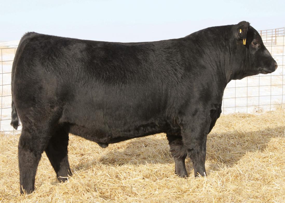 Accelerated Genetics