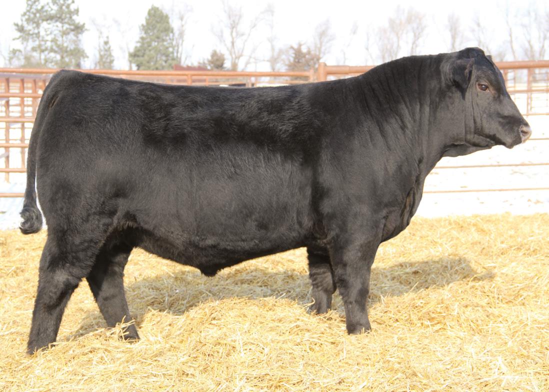 Accelerated Genetics