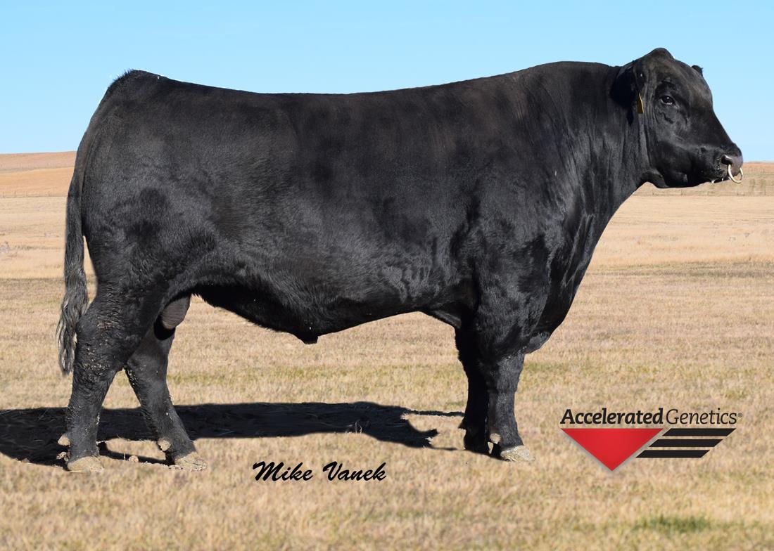 Accelerated Genetics