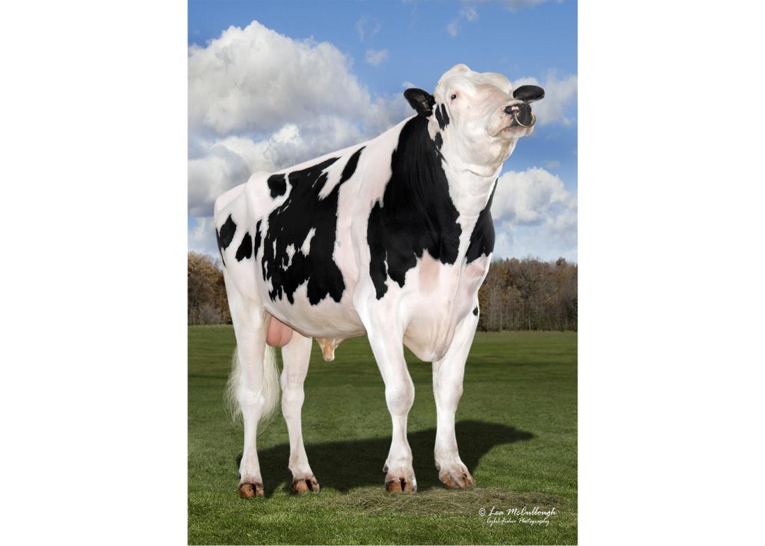 Accelerated Genetics