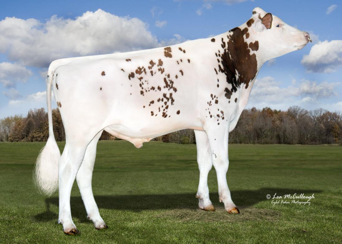 Accelerated Genetics