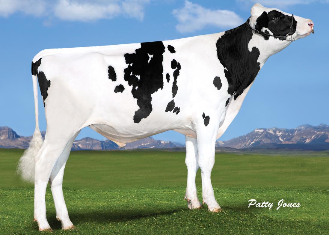 Accelerated Genetics