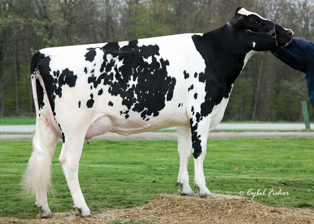 Accelerated Genetics