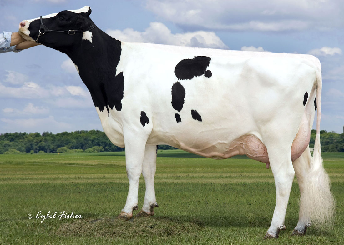 Accelerated Genetics