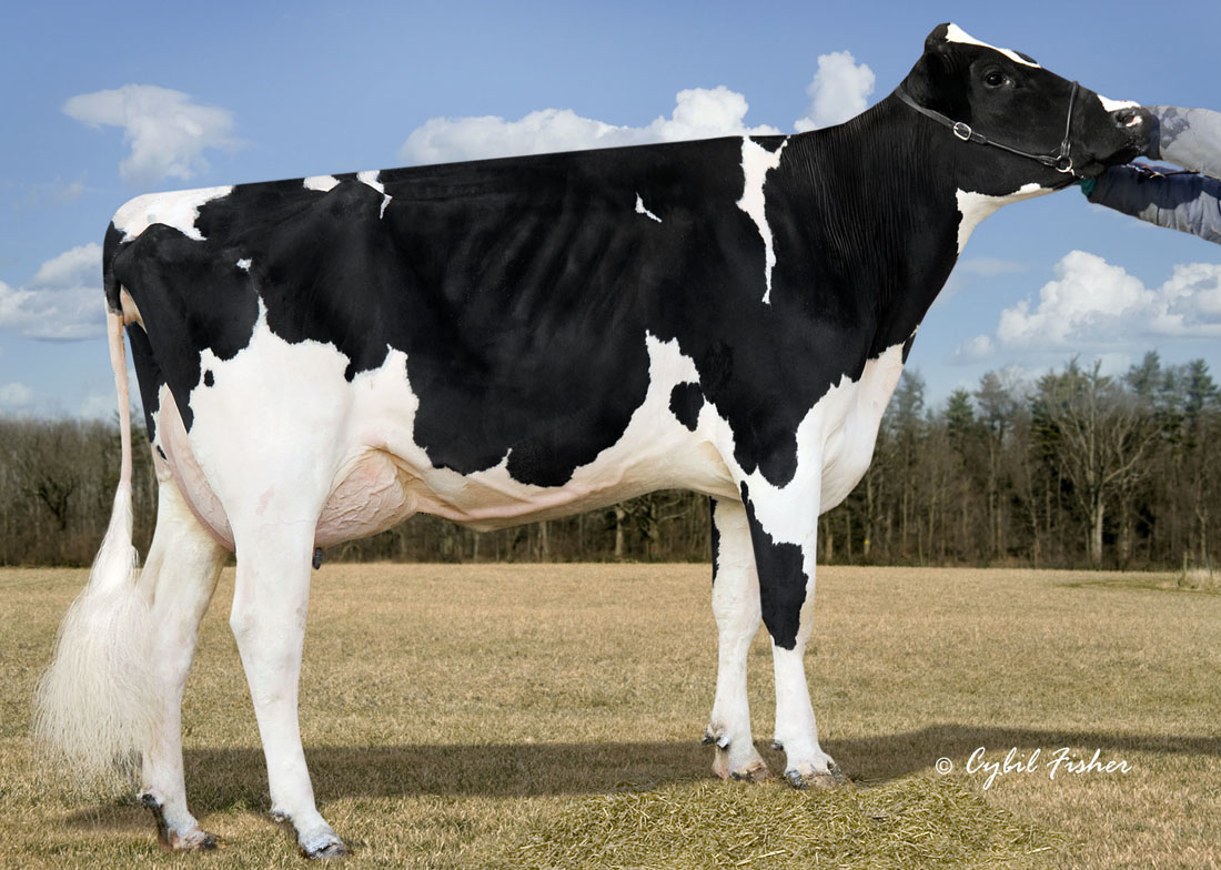 Accelerated Genetics