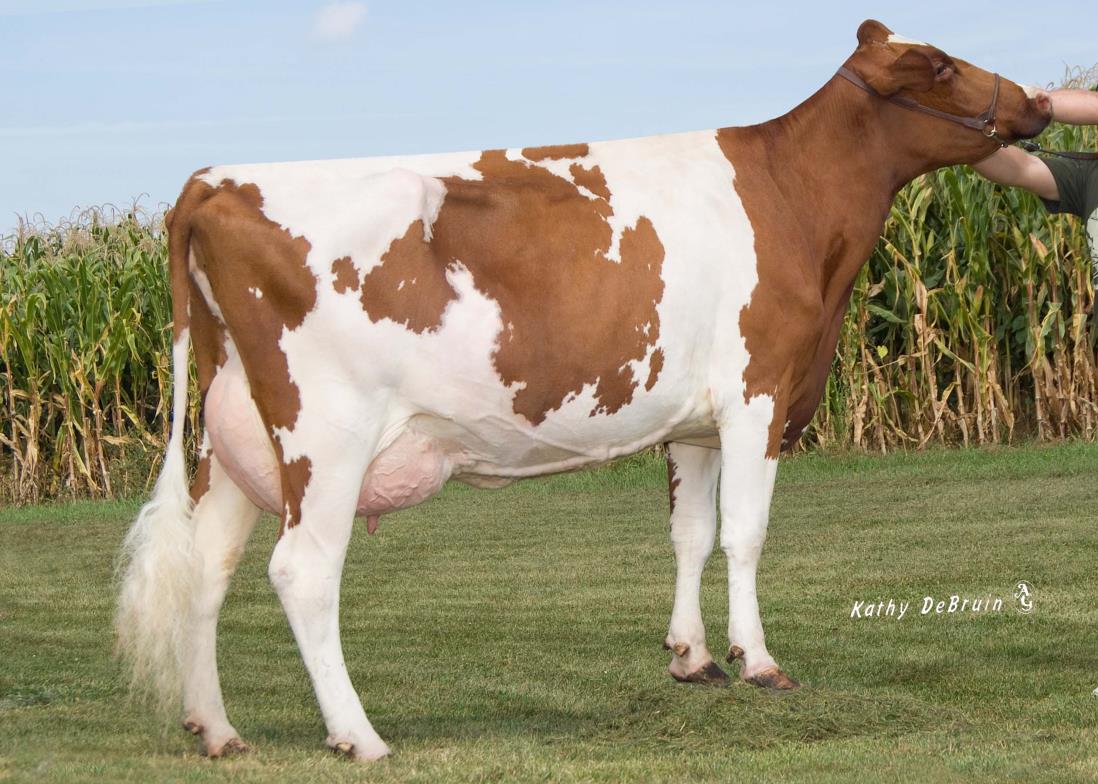 Accelerated Genetics