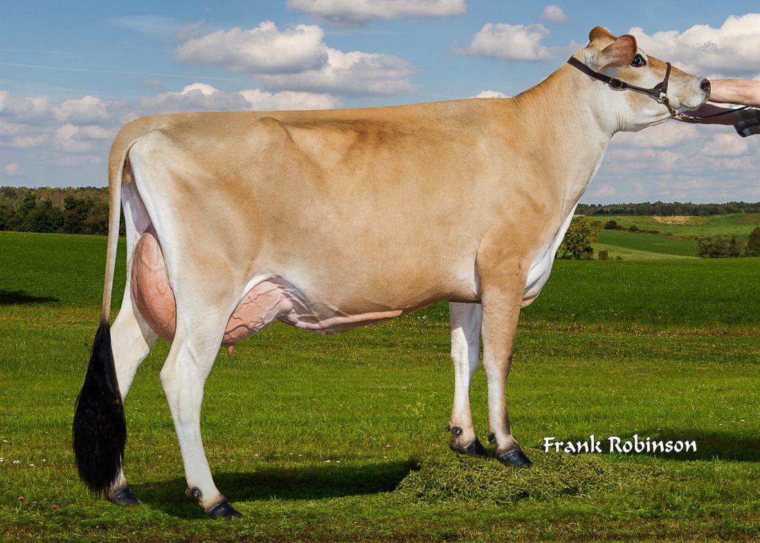 Accelerated Genetics