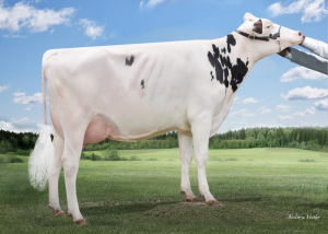Accelerated Genetics