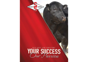 Accelerated Genetics - Beef Directories