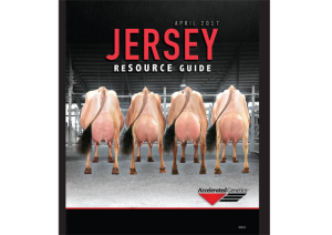Accelerated Genetics - Dairy Flyers