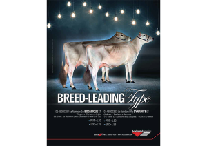 Accelerated Genetics - Dairy Flyers