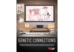 Accelerated Genetics - Dairy Flyers