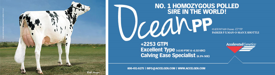 Accelerated Genetics