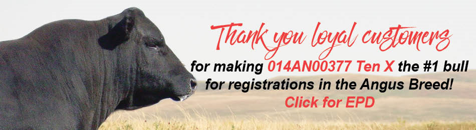 Accelerated Genetics